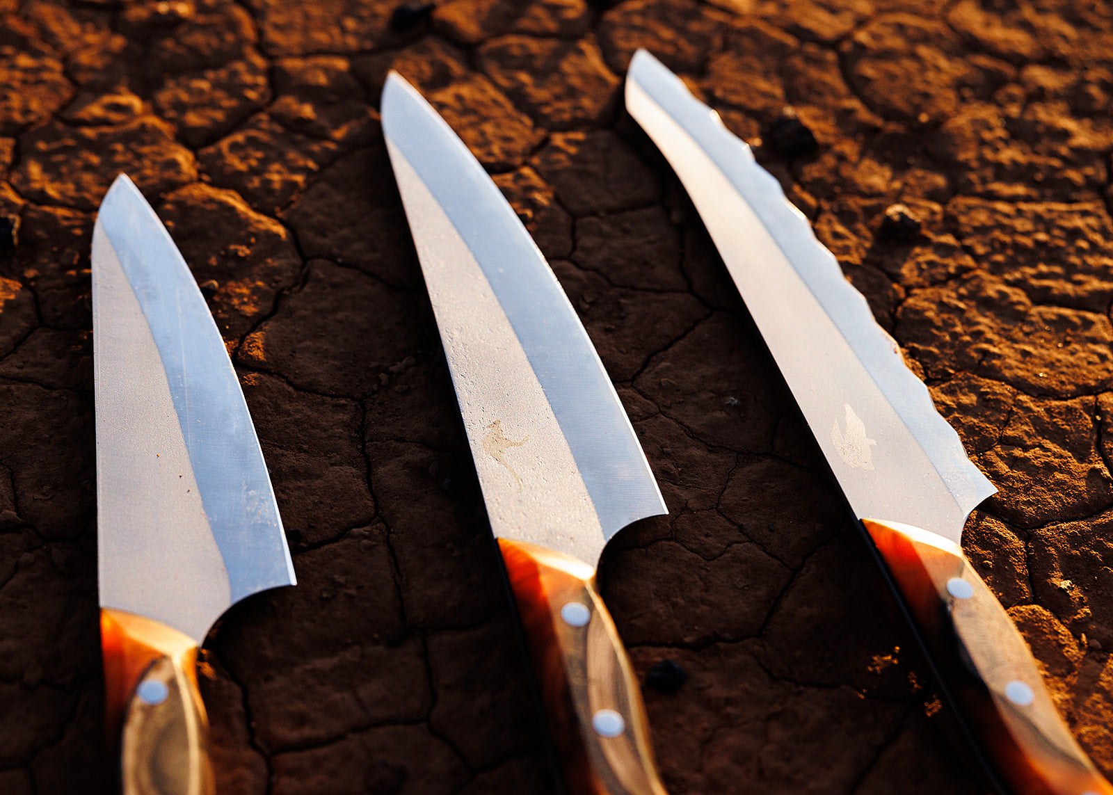 Slice with Style: 4 Striking Designs of Koi Knives You'll Love